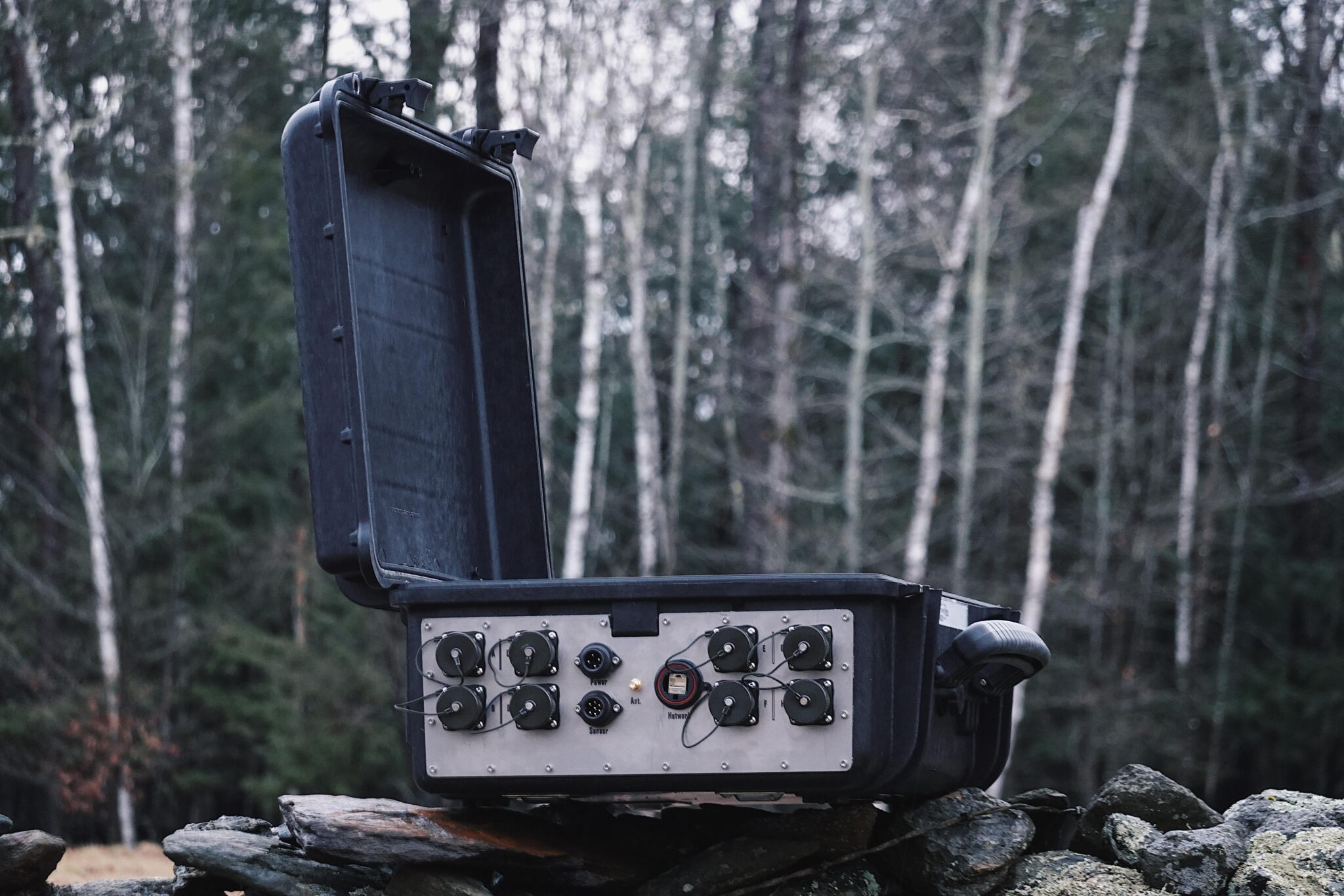 Subsurface Insights – Actionable Subsurface Information